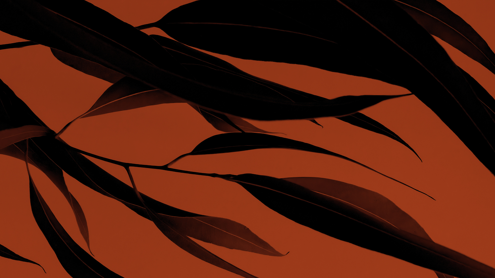 Talent Insights - Generator Talent | Generator Talent